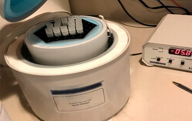 Ovarian tissue vitrification potentially demonstrates superiority over ...