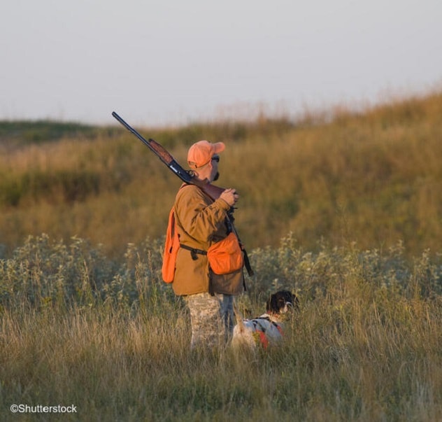 Hunting-related gunshot injuries: Promoting safety and treating ...