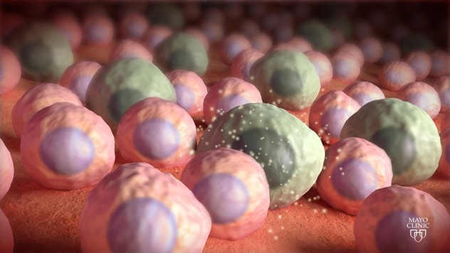 Biomarkers of cellular senescence and mobility disability in older ...