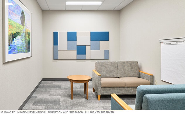 Mayo Clinic Center for Safe and Healthy Children and Adolescents ...