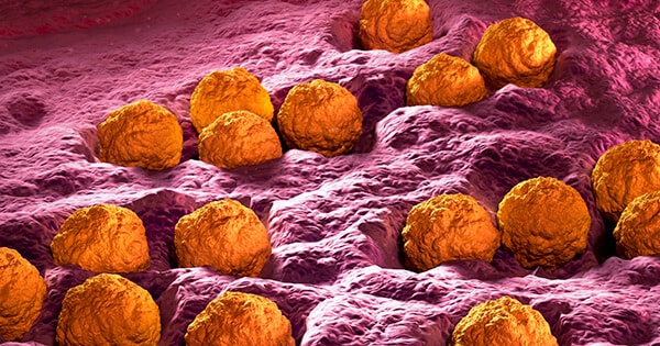 History of rubella: Outbreaks and vaccine timeline